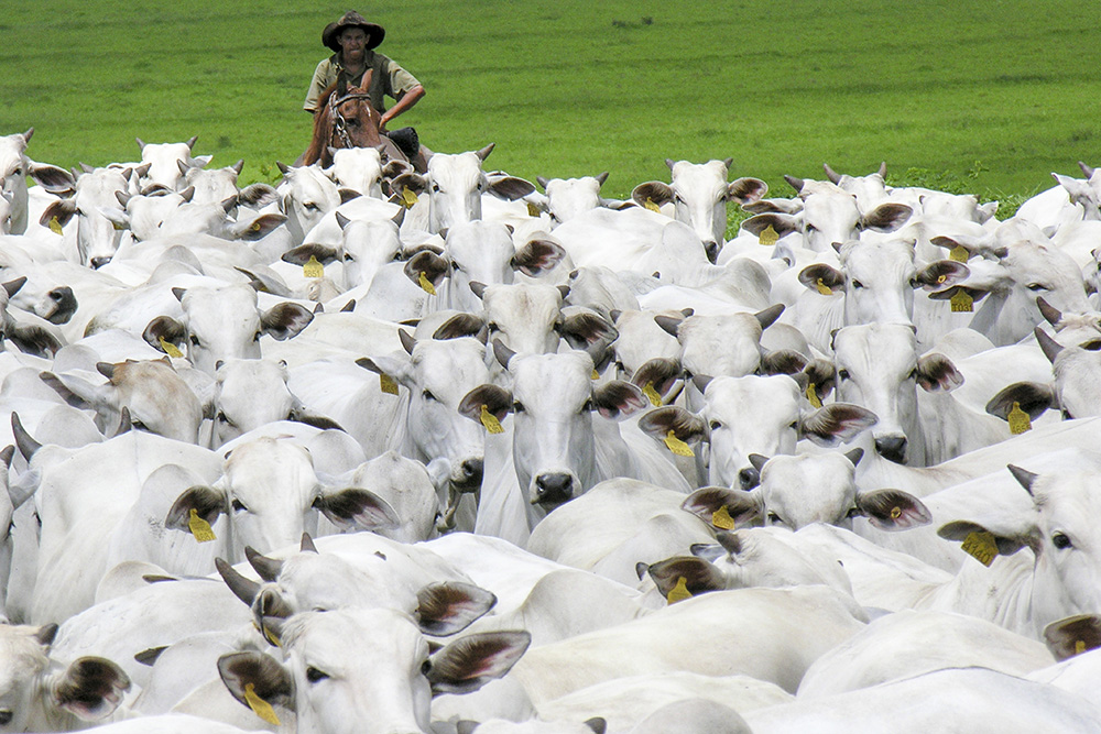 IATF - ABS Global Brasil